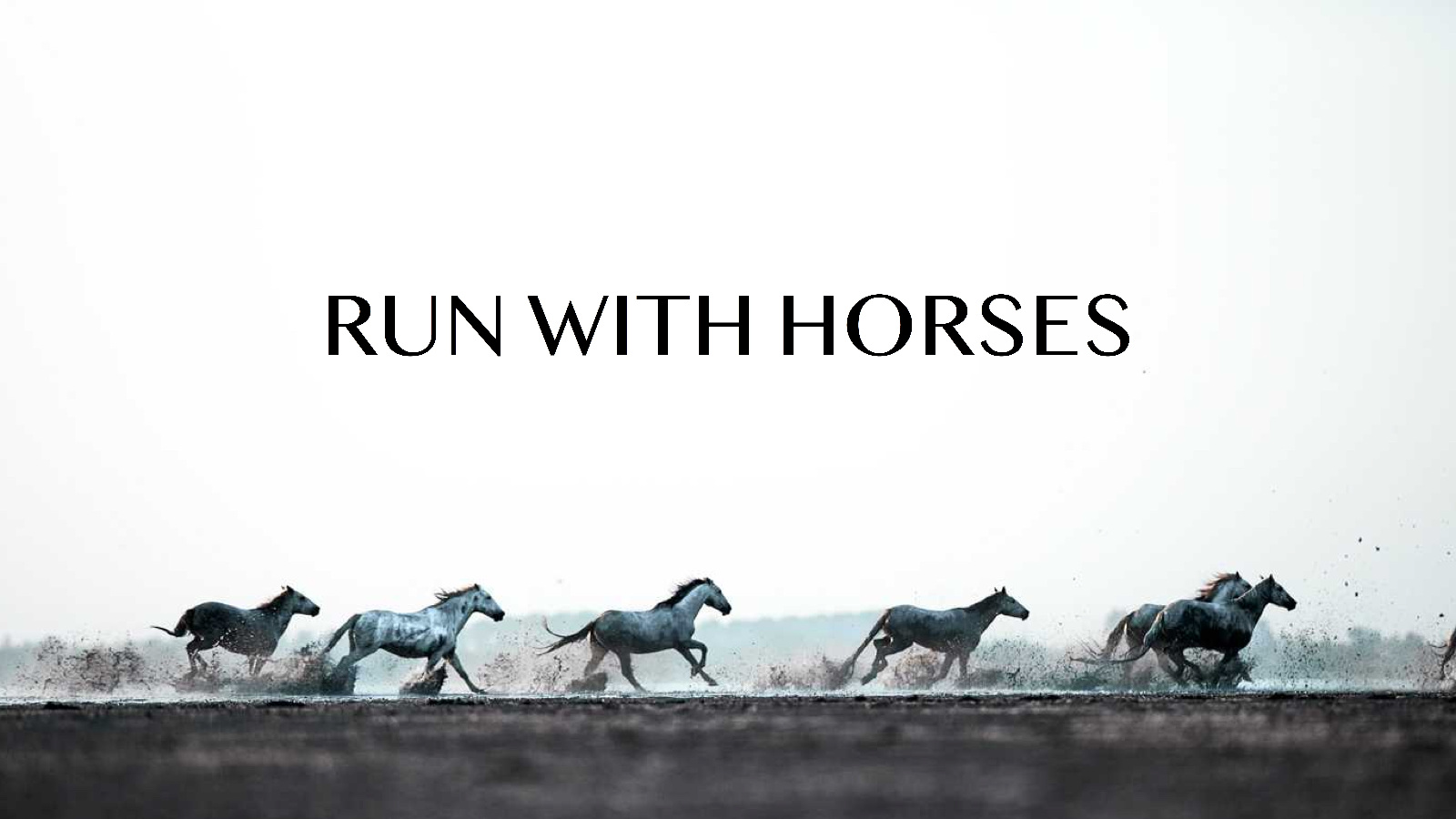 Run With Horses - Bridge Assembly | Helena, MT