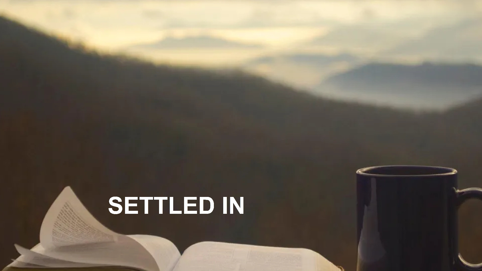 Settled In - Bridge Assembly | Helena, MT